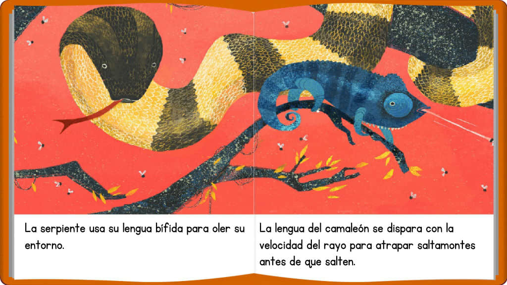 ¿Cómo es tu lengua? | Árbol ABC