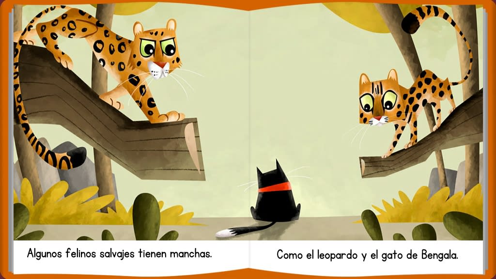 Felinos salvajes | Árbol ABC